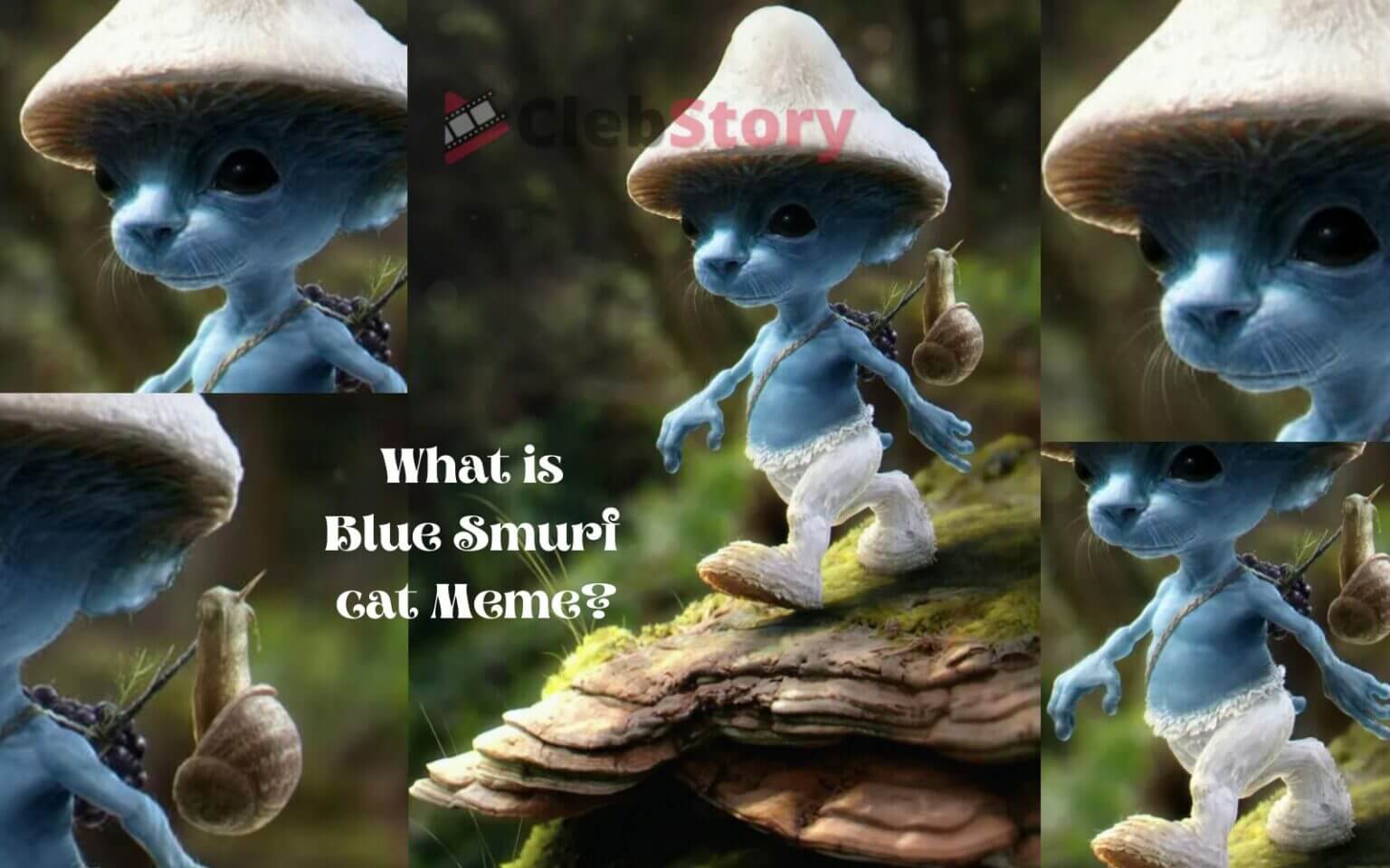 What Is The Blue Smurf Cat On TikTok - Clebstory